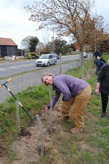 Come along & help at BNA Essex Stand at Brightlingsea Library 18th ...